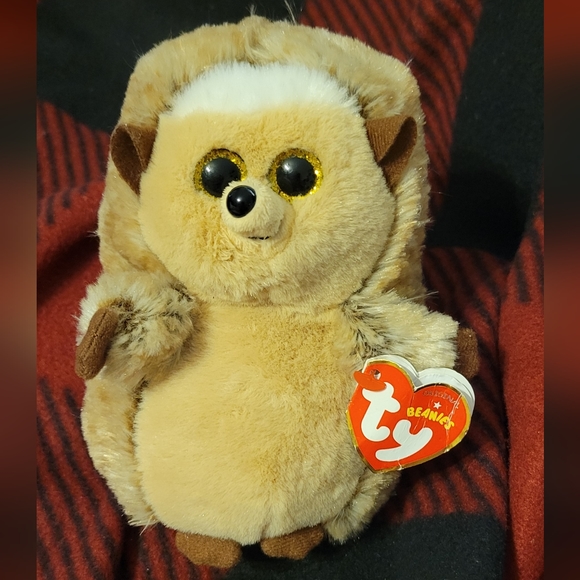 Ty | Toys | Nwt Rare Ty Ida The Hedgehog | Poshmark